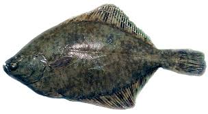 English Sole | Fish'n BC